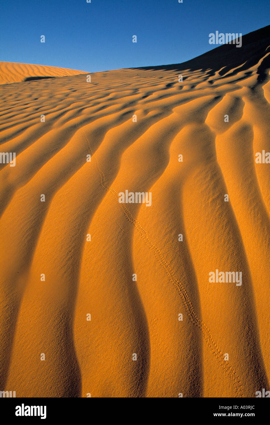 Douz hi-res stock photography and images - Alamy