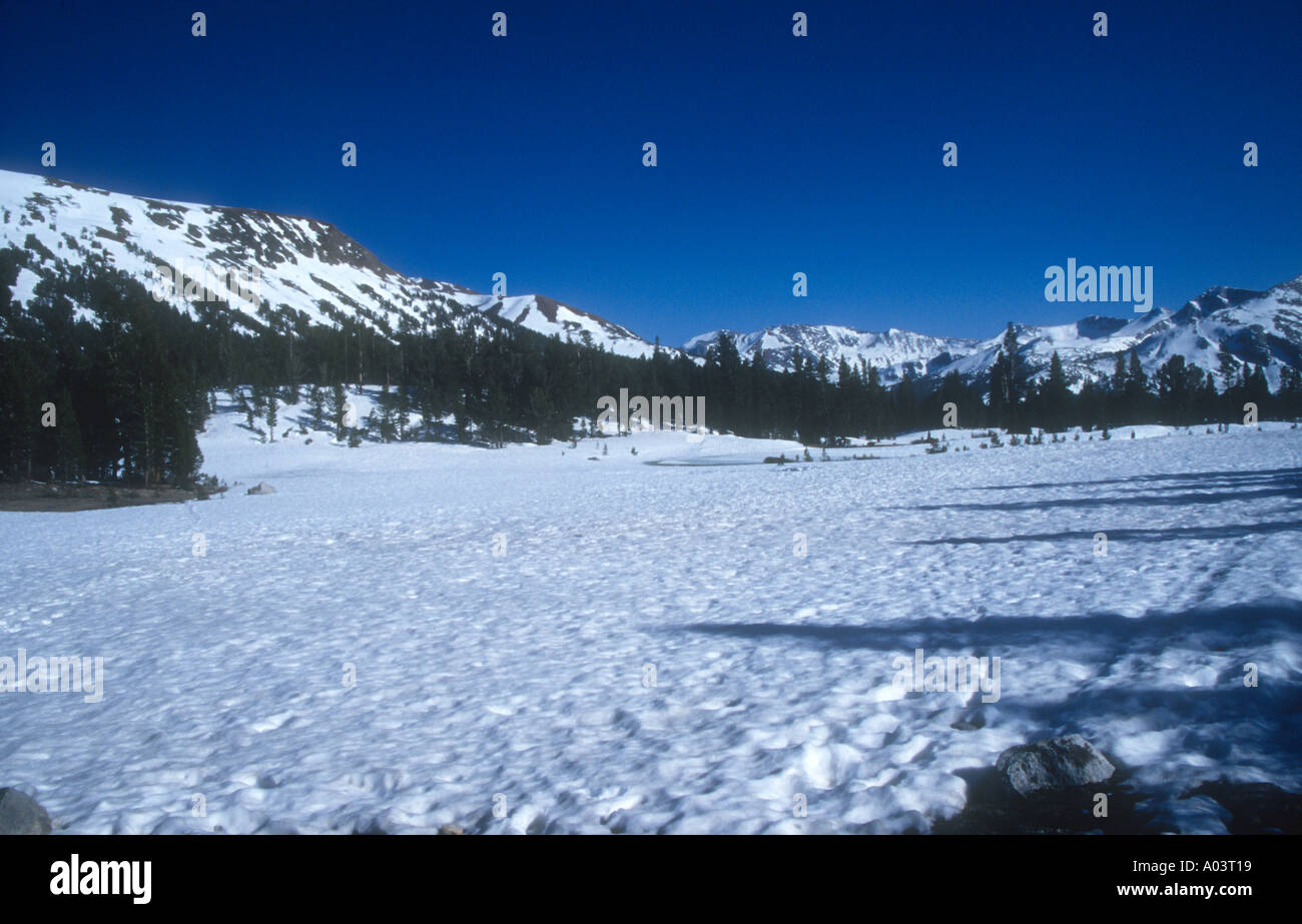 Frozen lake under snow Tioga Pass Stock Photo - Alamy