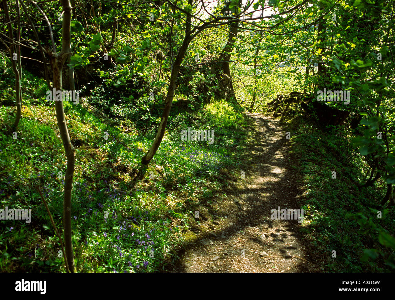 Lover's walk matlock bath hi-res stock photography and images - Alamy