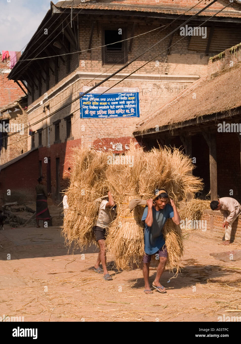 TWO MEN CARRYING LARGE LOAD of rice stalks sherpa style Khokana ...