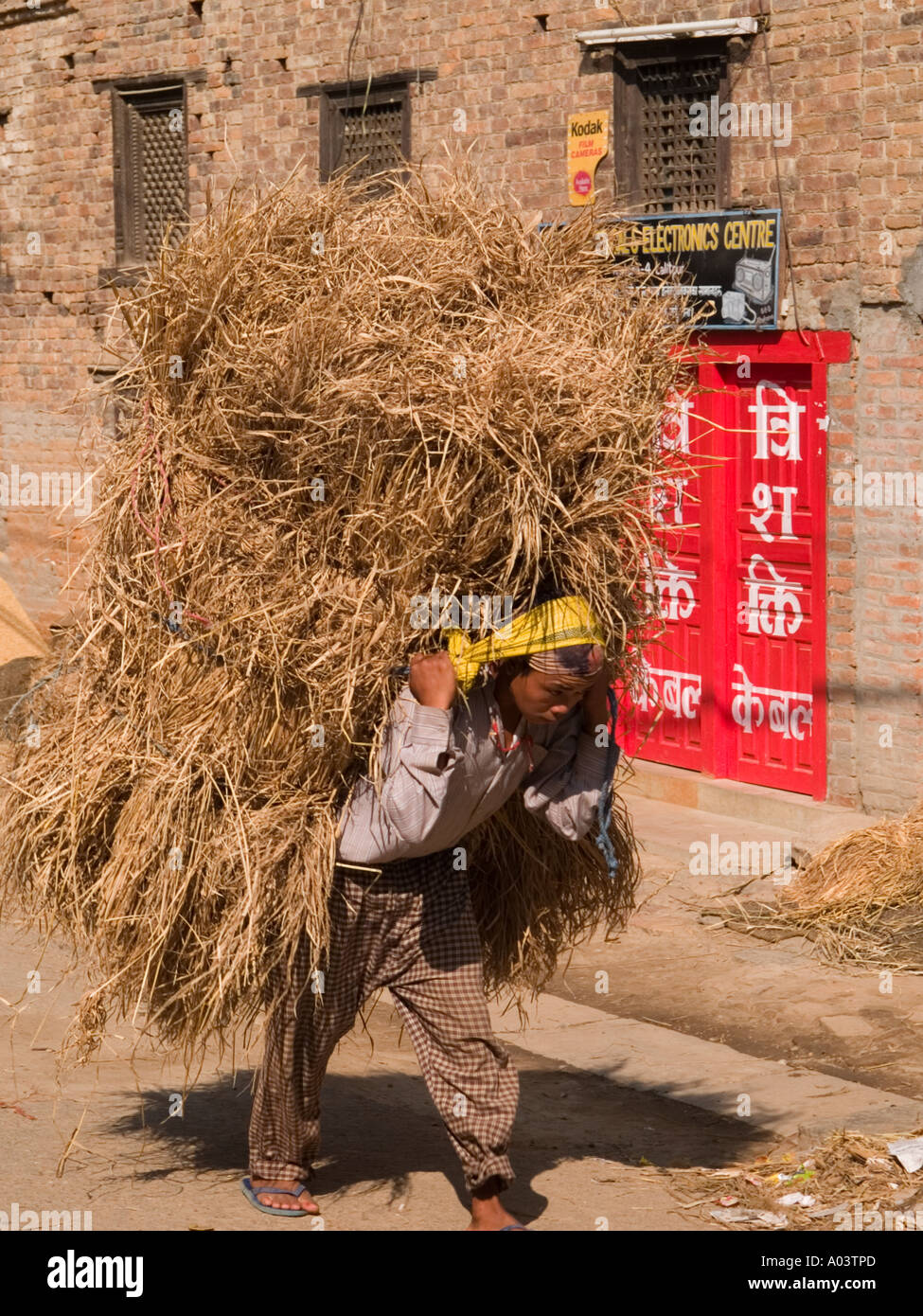 Man carrying load rice hi-res stock photography and images - Alamy