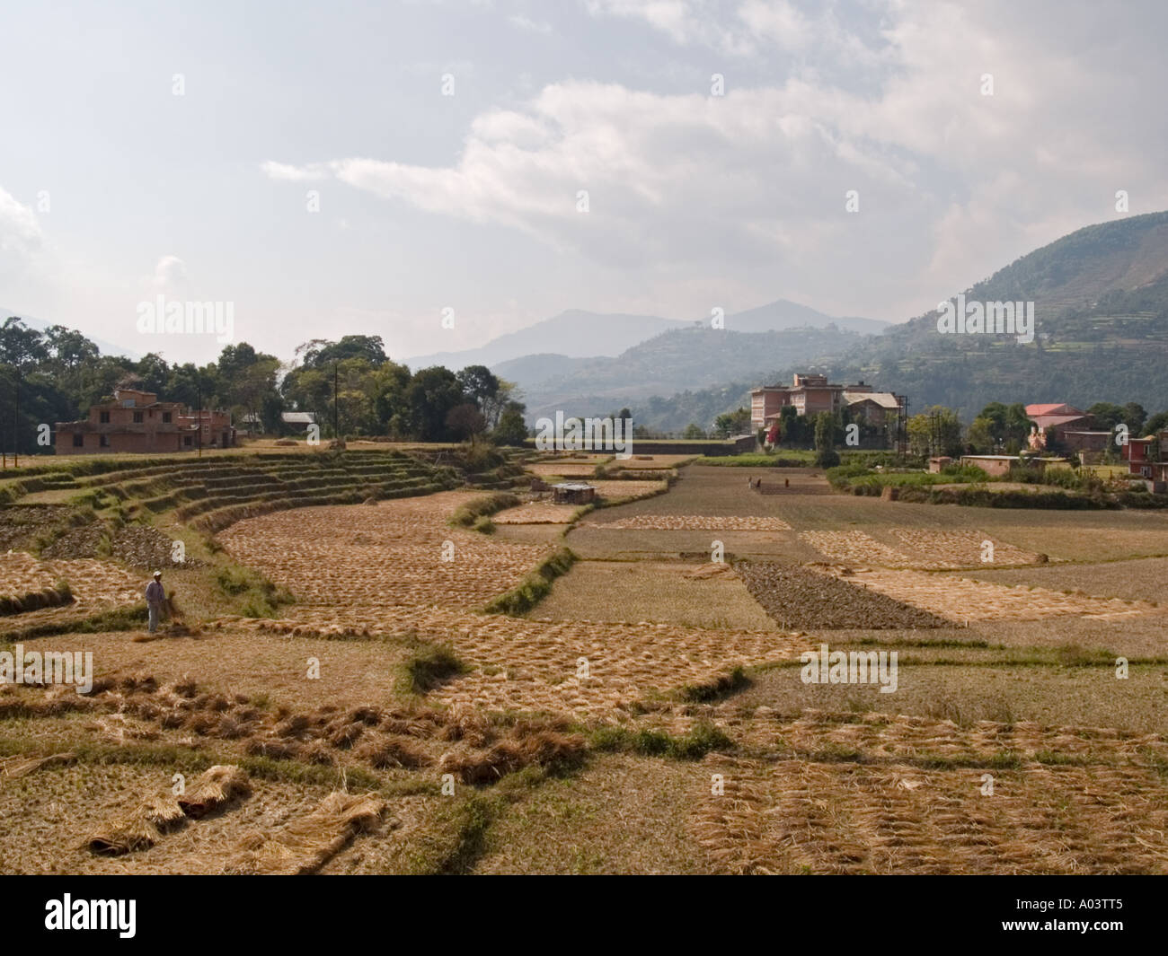 TERRACED RICE PADDY FIELDS after harvest Khokana Kathmandu Valley Nepal ...