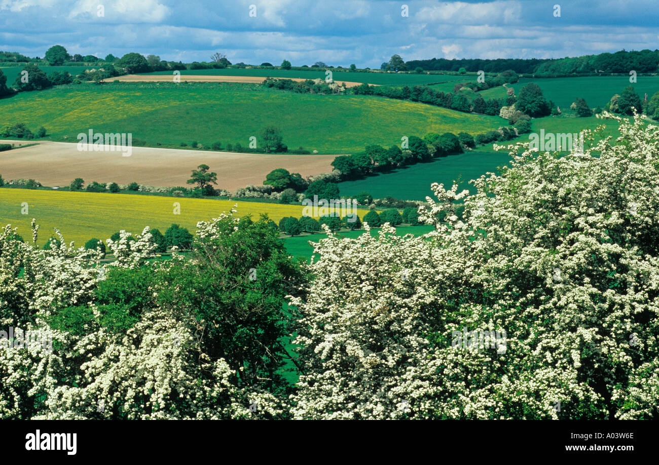 Hertfordshire villages in the chilterns hi-res stock photography and ...