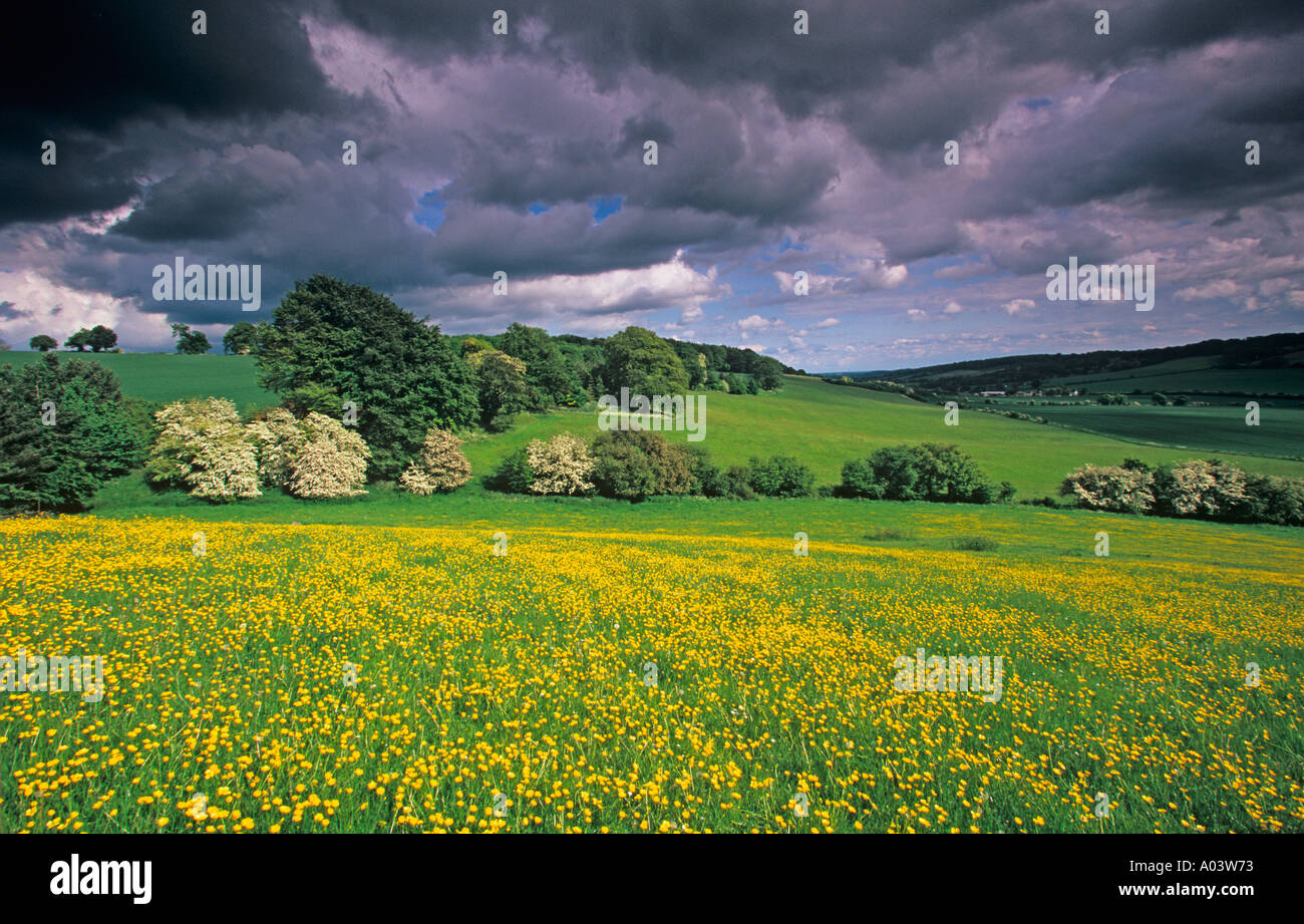 Gade valley hi-res stock photography and images - Alamy