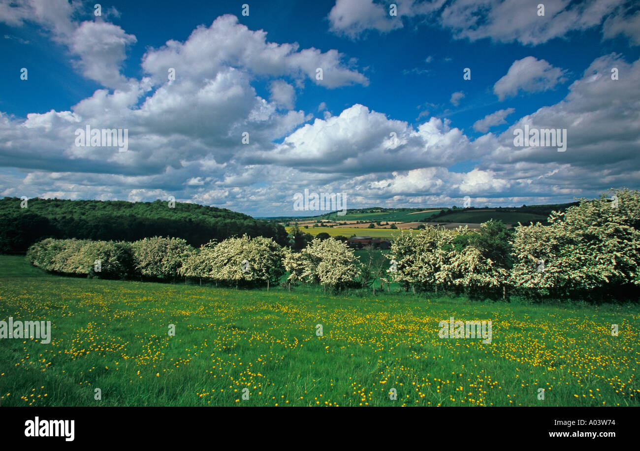 Gade valley hi-res stock photography and images - Alamy