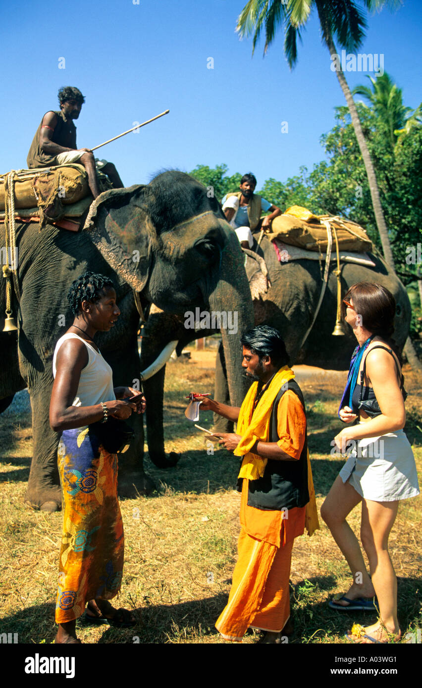 india north goa tourists with an elephant Stock Photo - Alamy