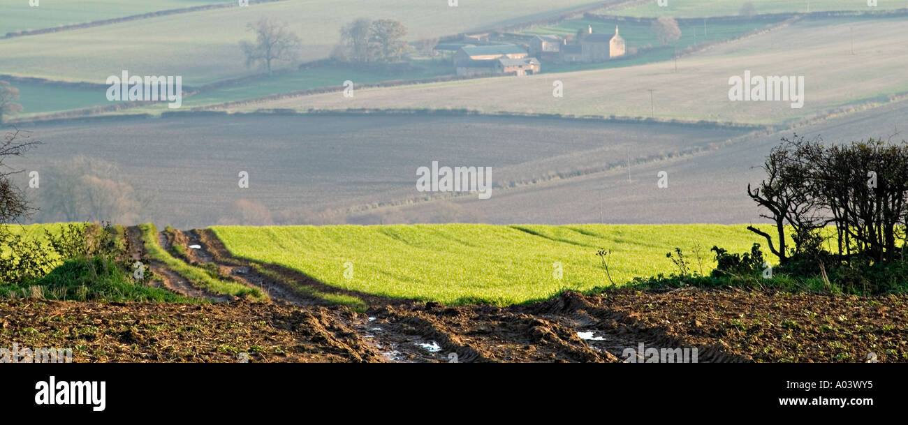 Gap in hedge hi-res stock photography and images - Alamy