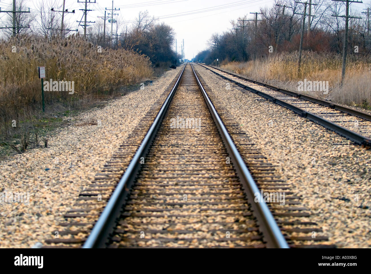 Tracks horse two hi-res stock photography and images - Alamy