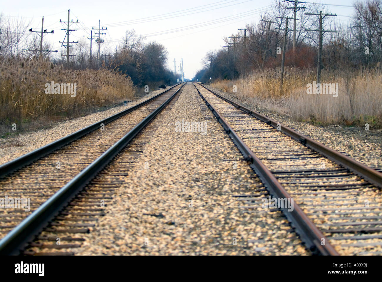Railroad Tracks Converging Stock Photo - Alamy