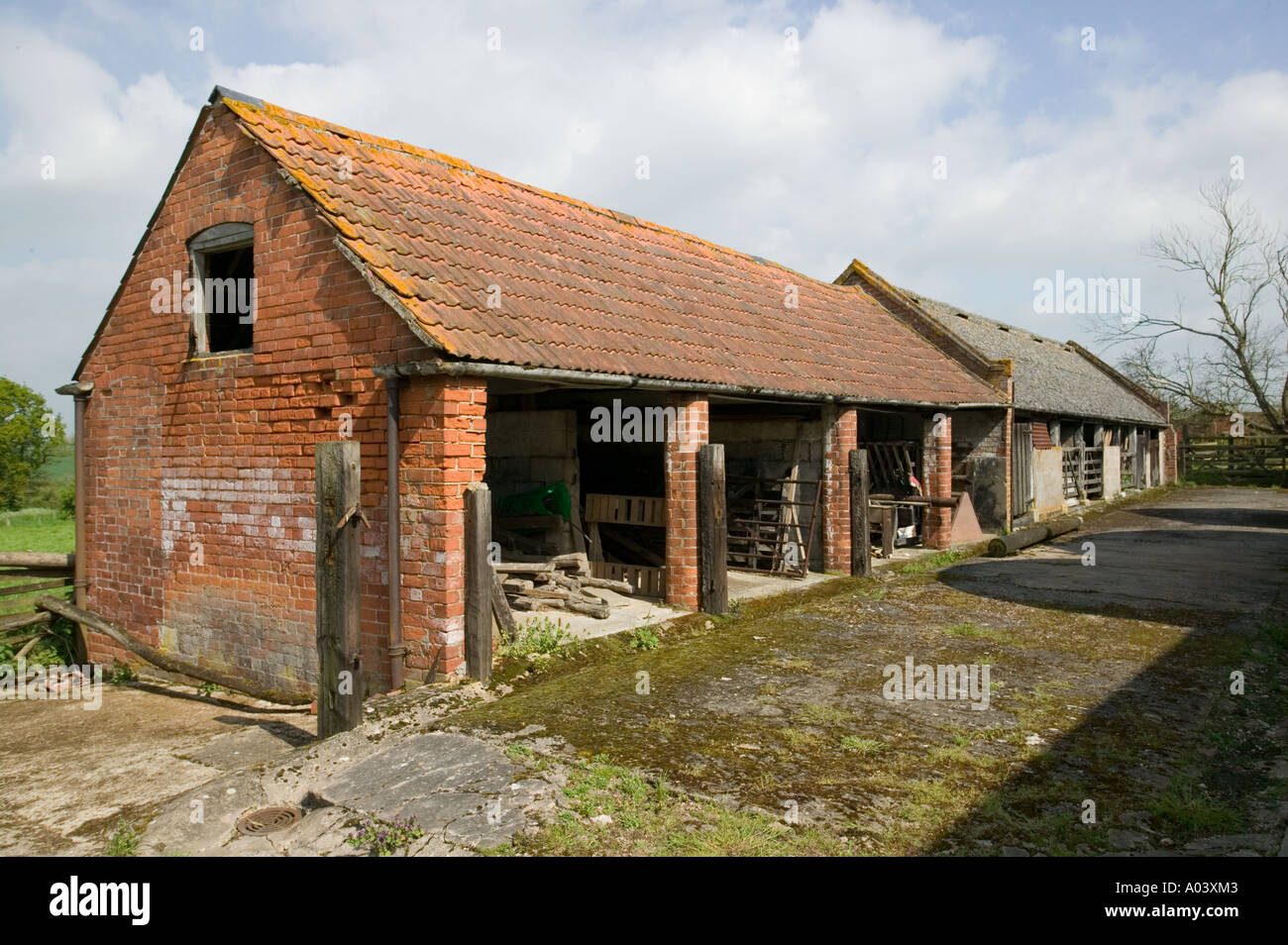 Victorian farm pig hi-res stock photography and images - Alamy