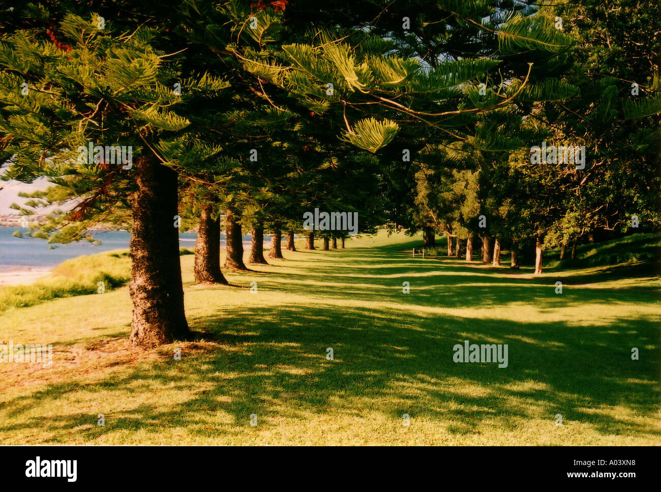 Captain Cooks Landing Place, Botany Bay, NSW, Sydney, Australia Stock ...