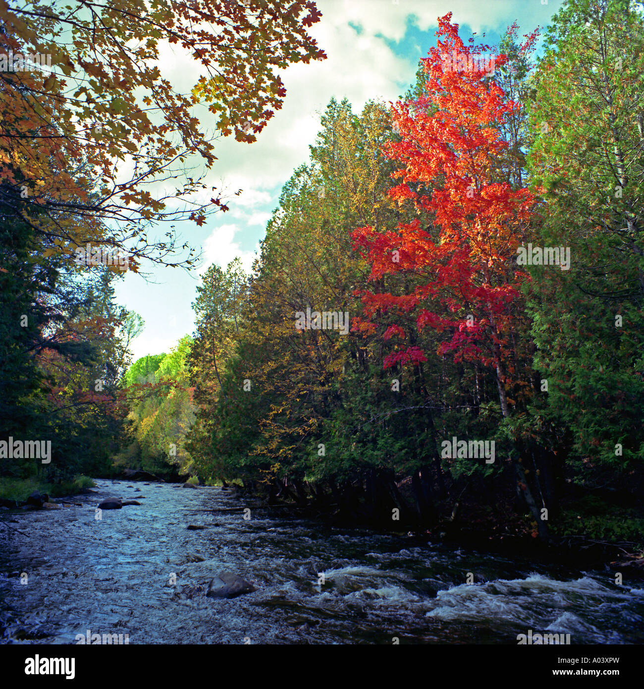 Fall Mountain Stream Stock Photo - Alamy