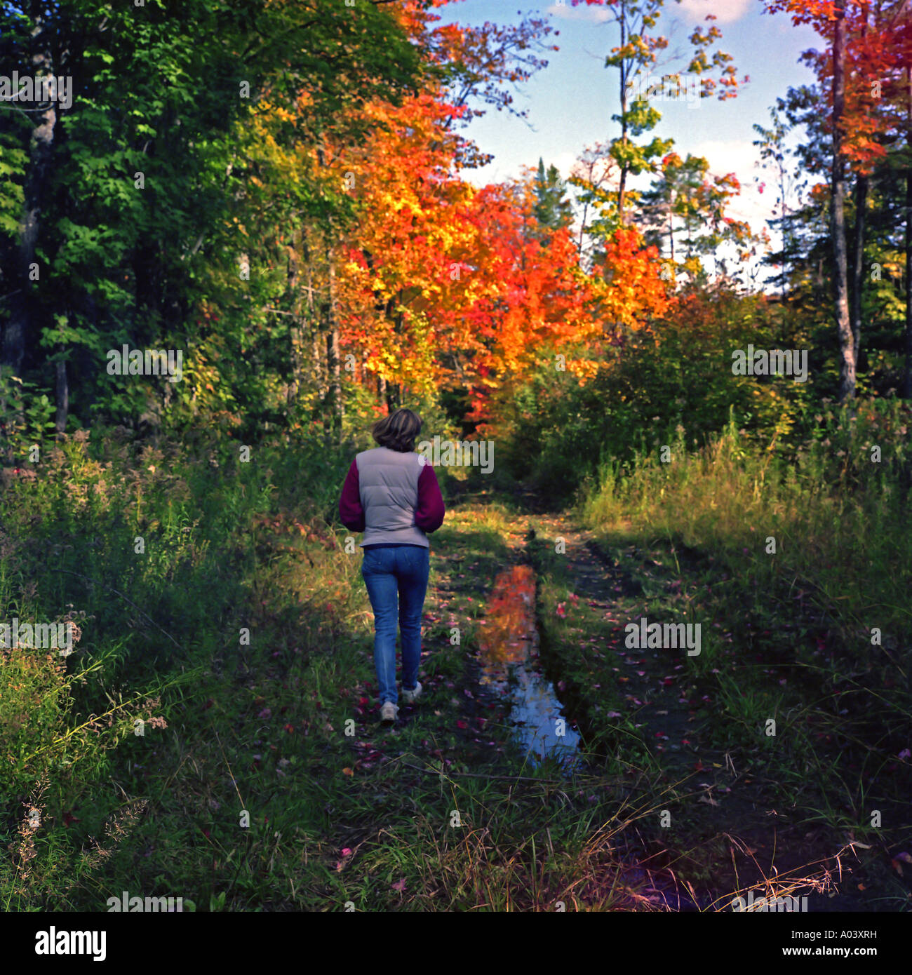 Fall Walk Stock Photo - Alamy