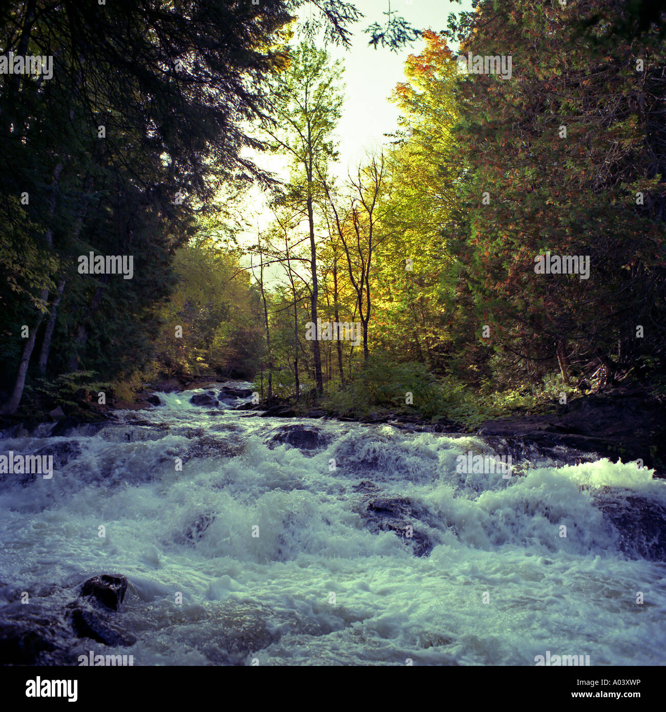 Rushing off hi-res stock photography and images - Alamy