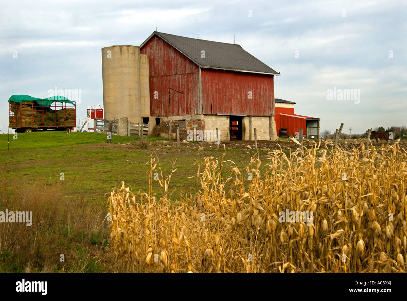 Dairy barn hay loft hi-res stock photography and images - Alamy