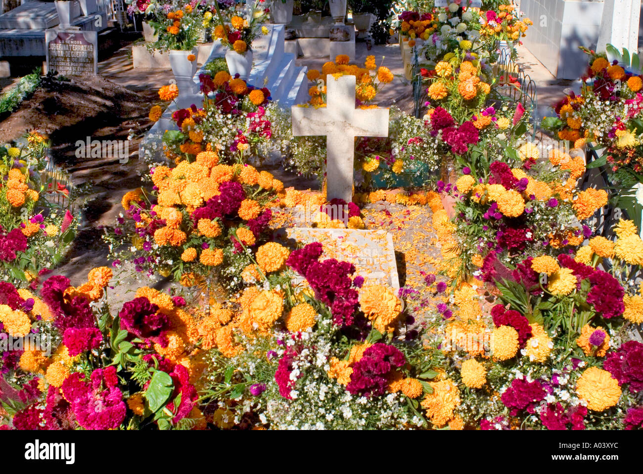 Marigolds and cemetery hi-res stock photography and images - Alamy