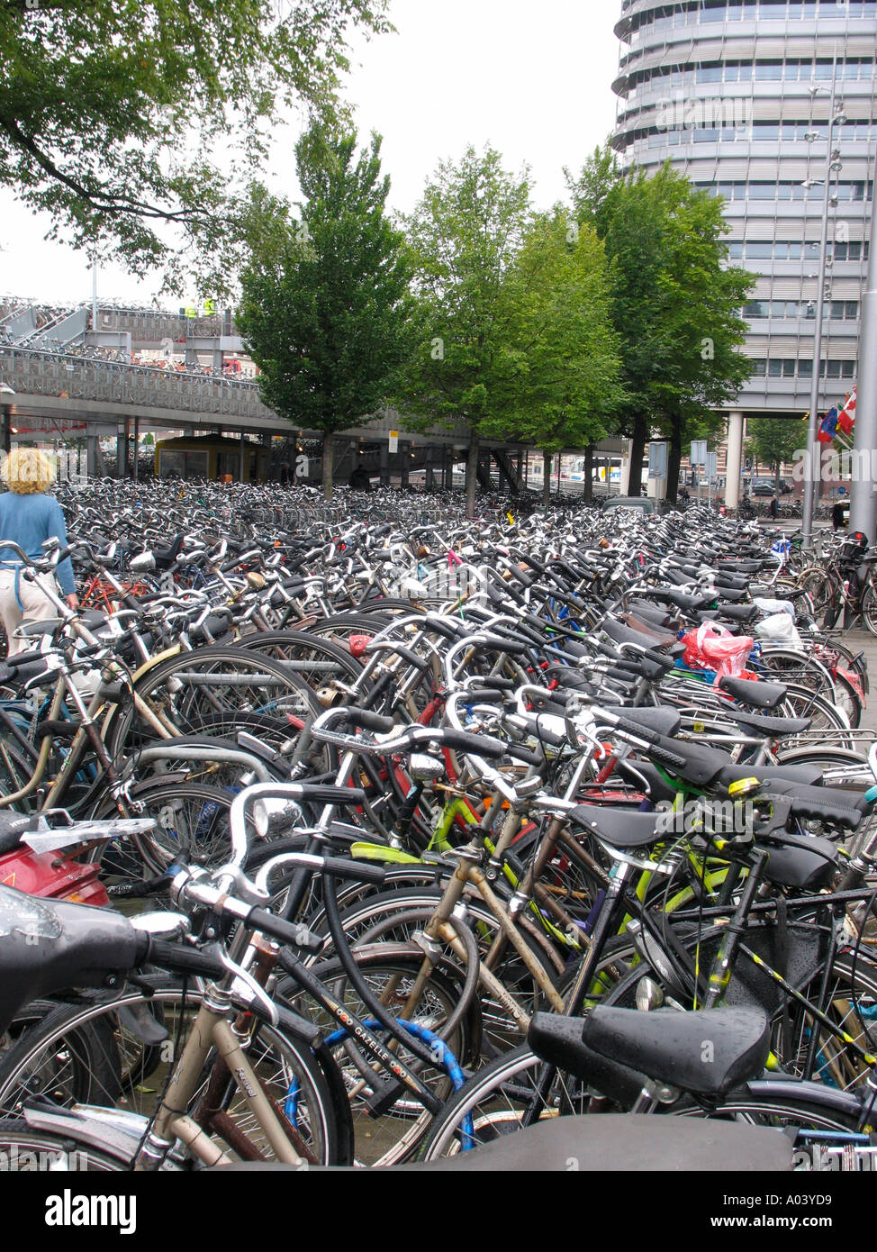 Bicycles in Amsterdam Stock Photo - Alamy
