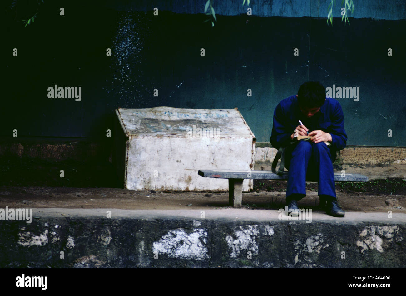 Learning young chinese student Stock Photo - Alamy