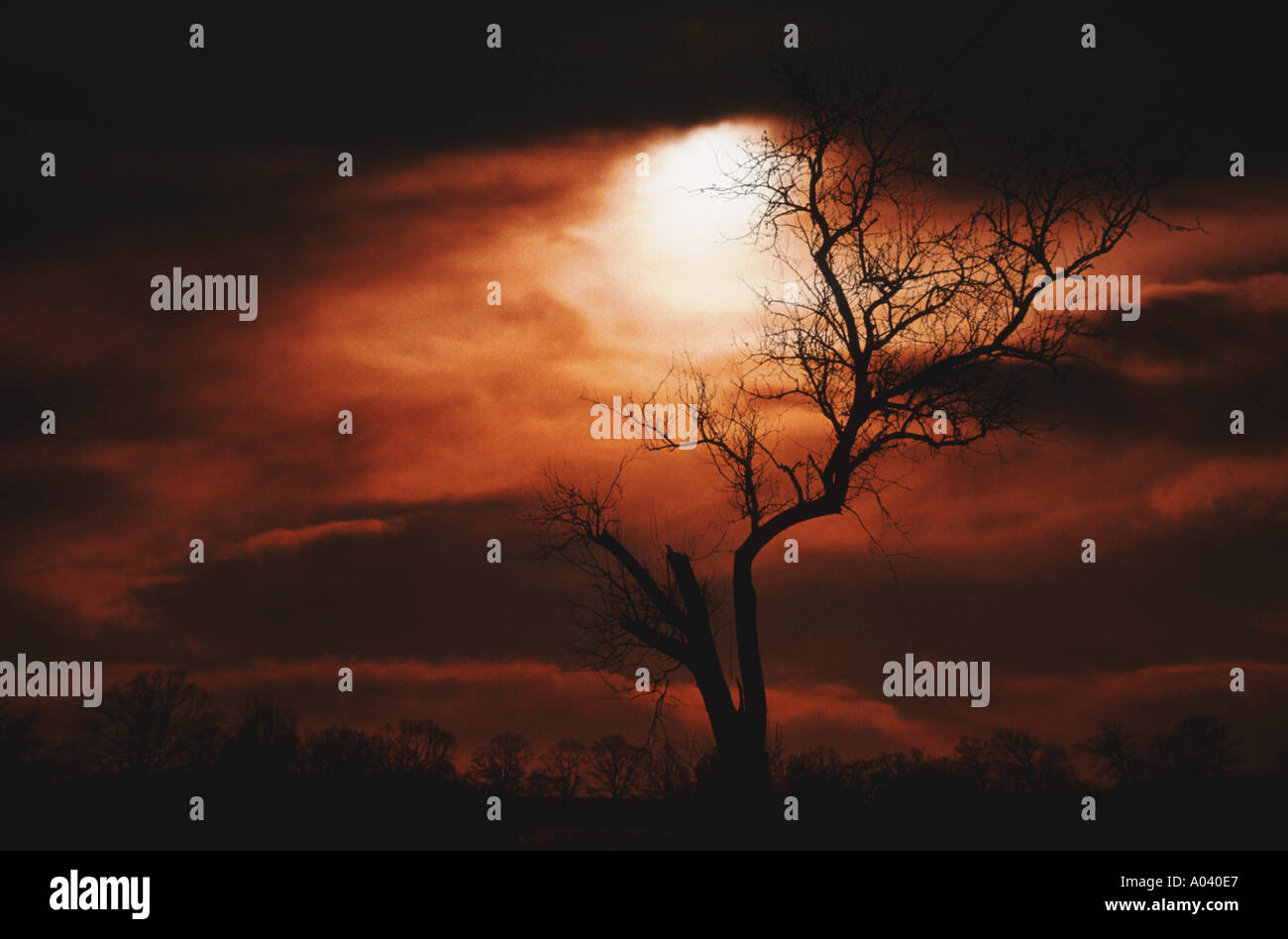 Sun withered hi-res stock photography and images - Alamy