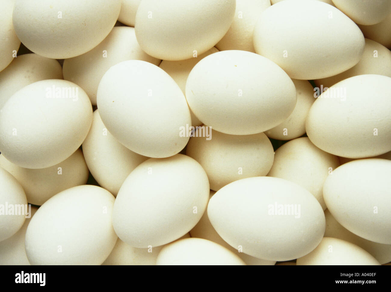 white eggs hen s eggs Stock Photo - Alamy