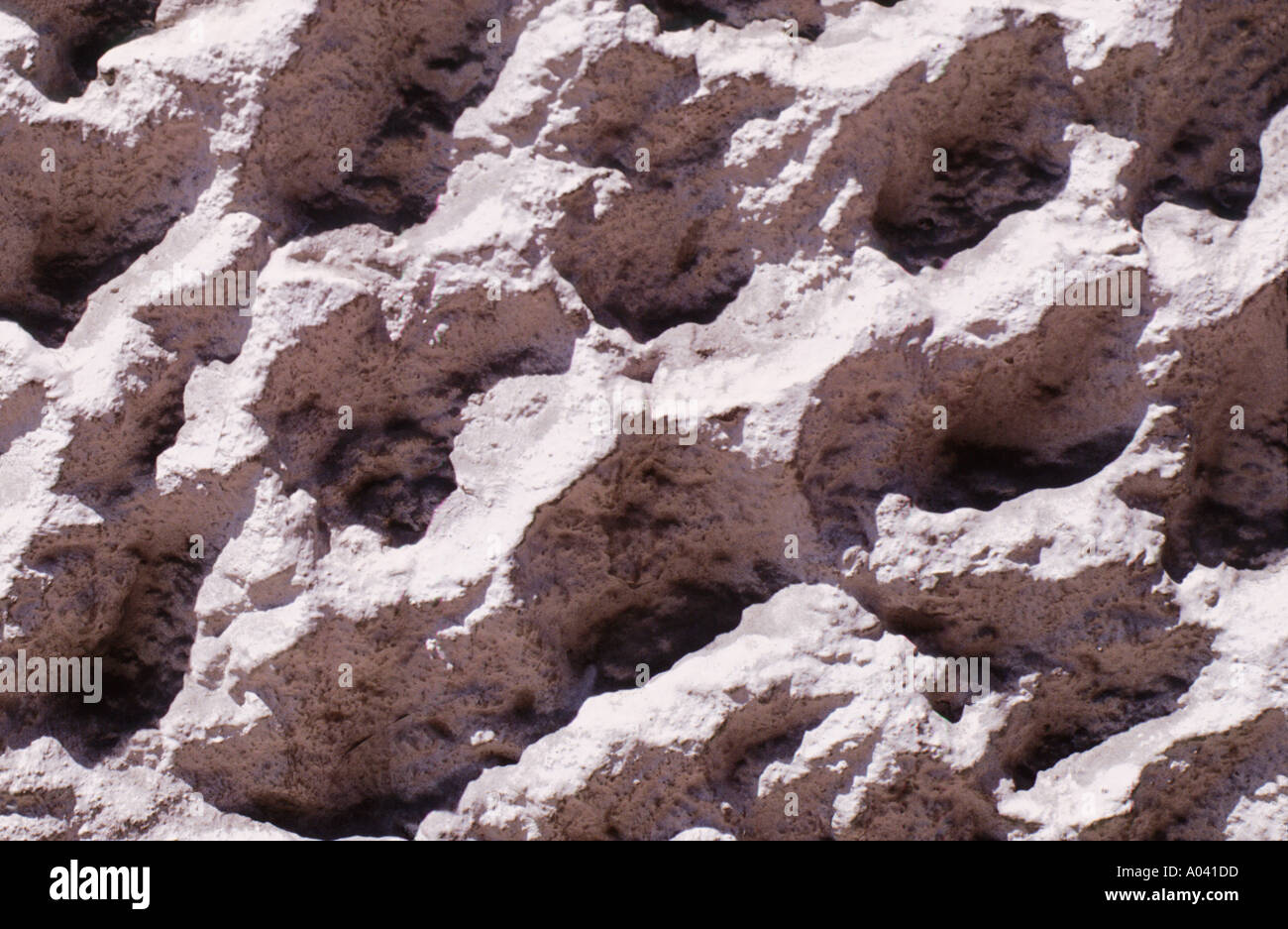 background wall structure white texture pattern roughcast plaster ...