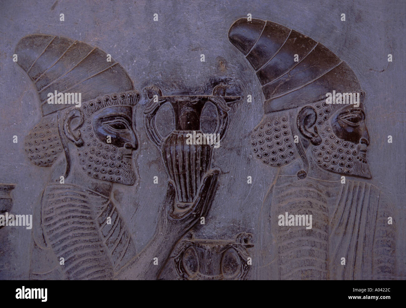 Iran Persepolis relief restored Stock Photo - Alamy