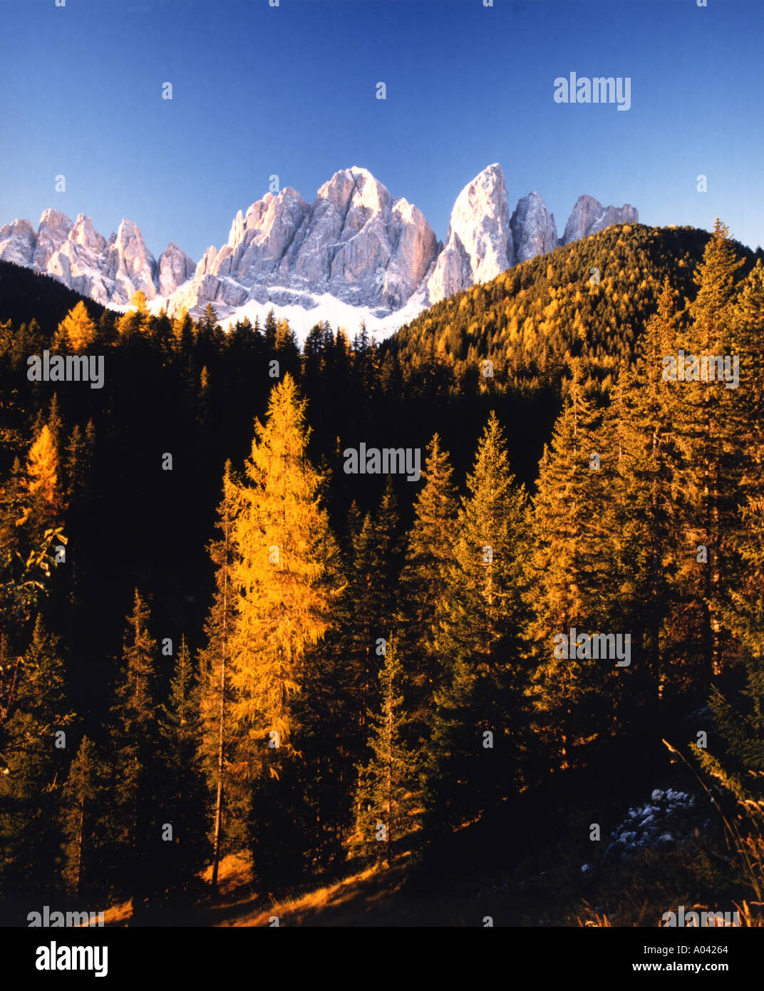 Italy South tyrol autumn scenic in the Dolomites mountains Stock Photo ...