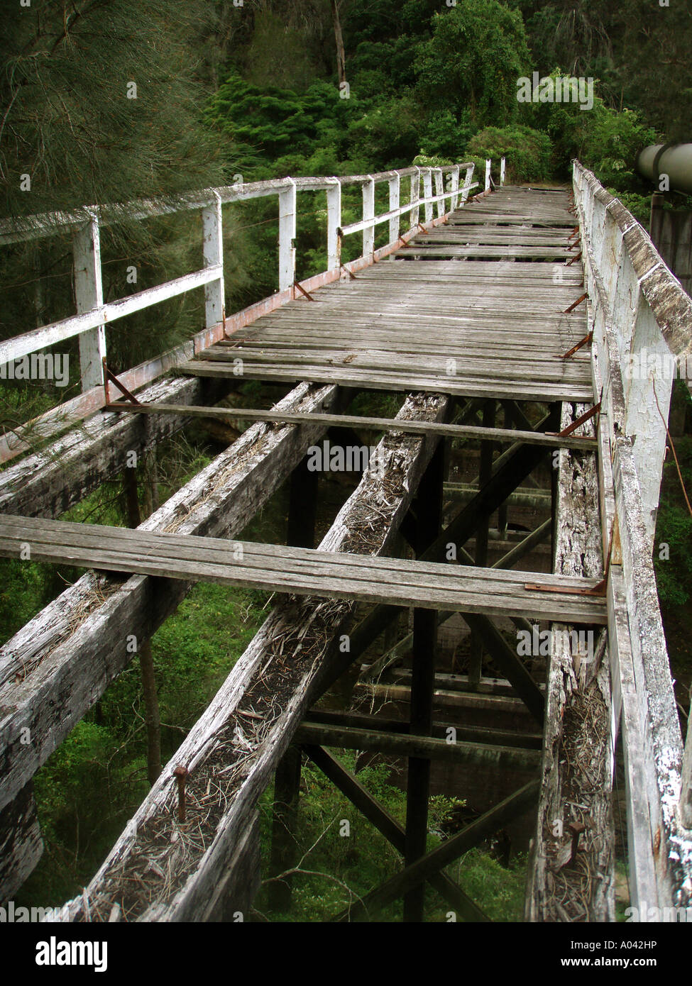 A rotting and abandoned wooden bridge to nowhere Stock Photo - Alamy