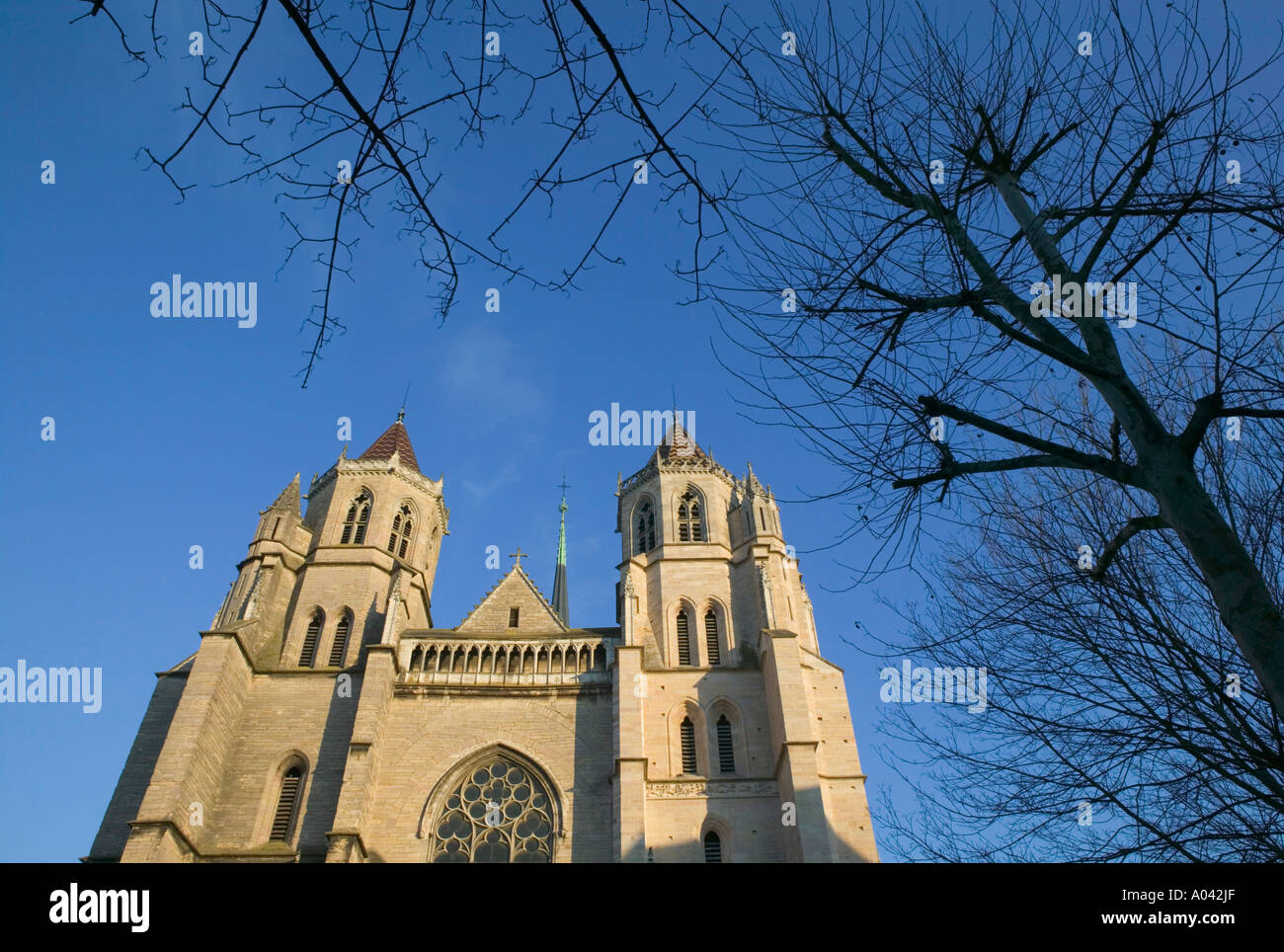 Benigne hi-res stock photography and images - Alamy