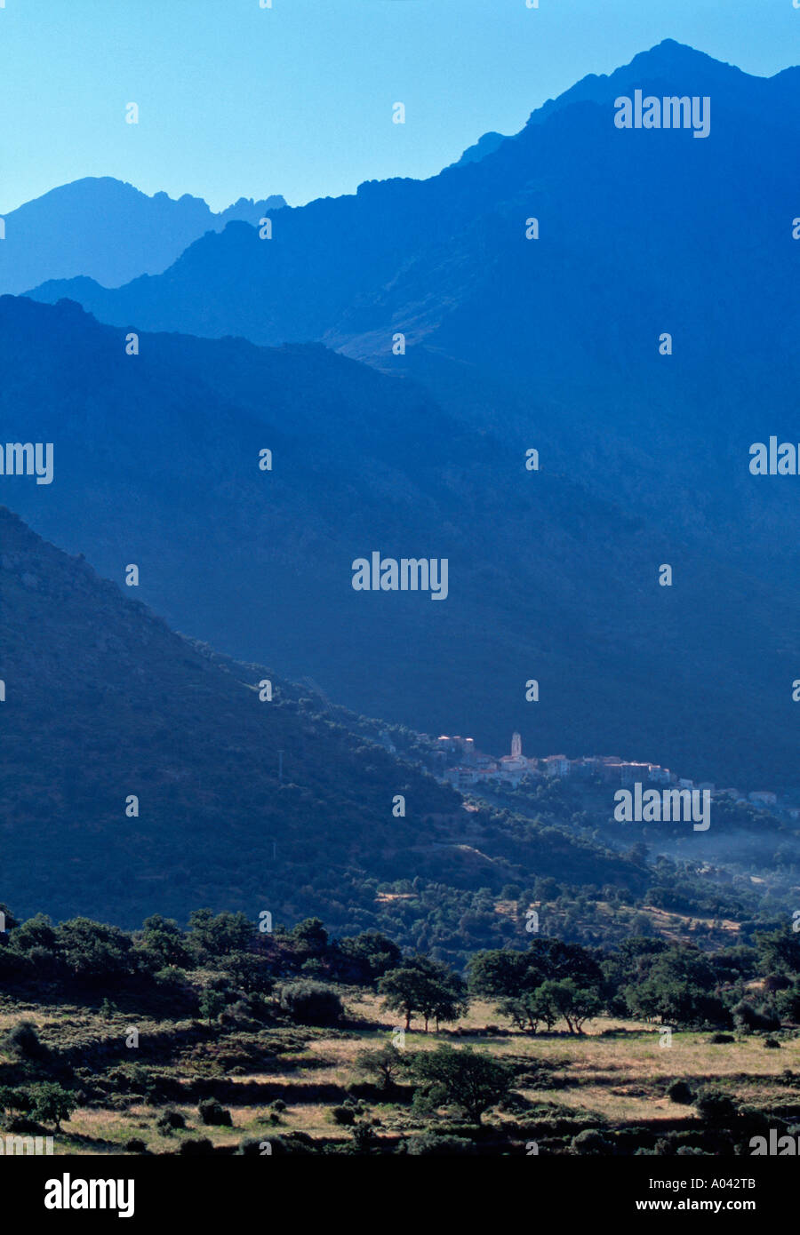 Zilia hi-res stock photography and images - Alamy