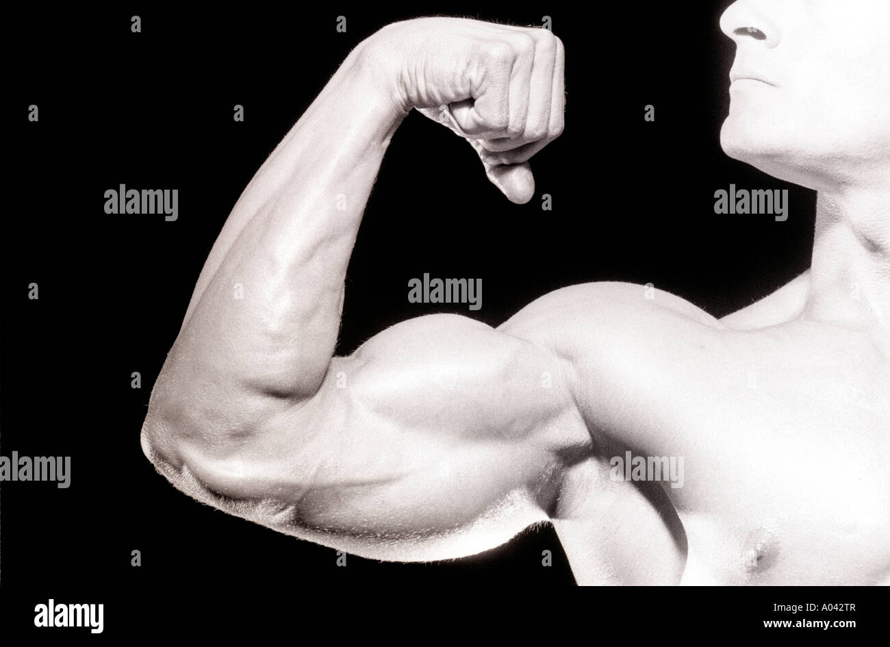 Man pecs muscles hi-res stock photography and images - Alamy