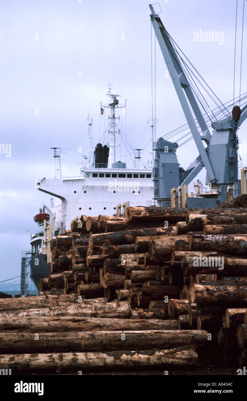 Ship being loaded with logs for export Stock Photo - Alamy