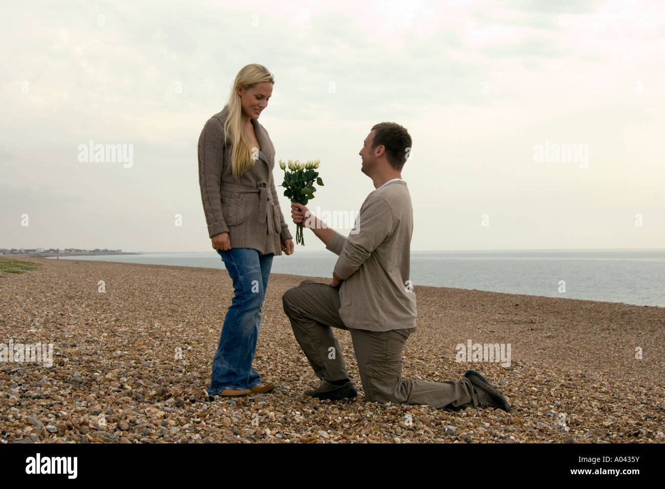 The proposal hi-res stock photography and images - Alamy