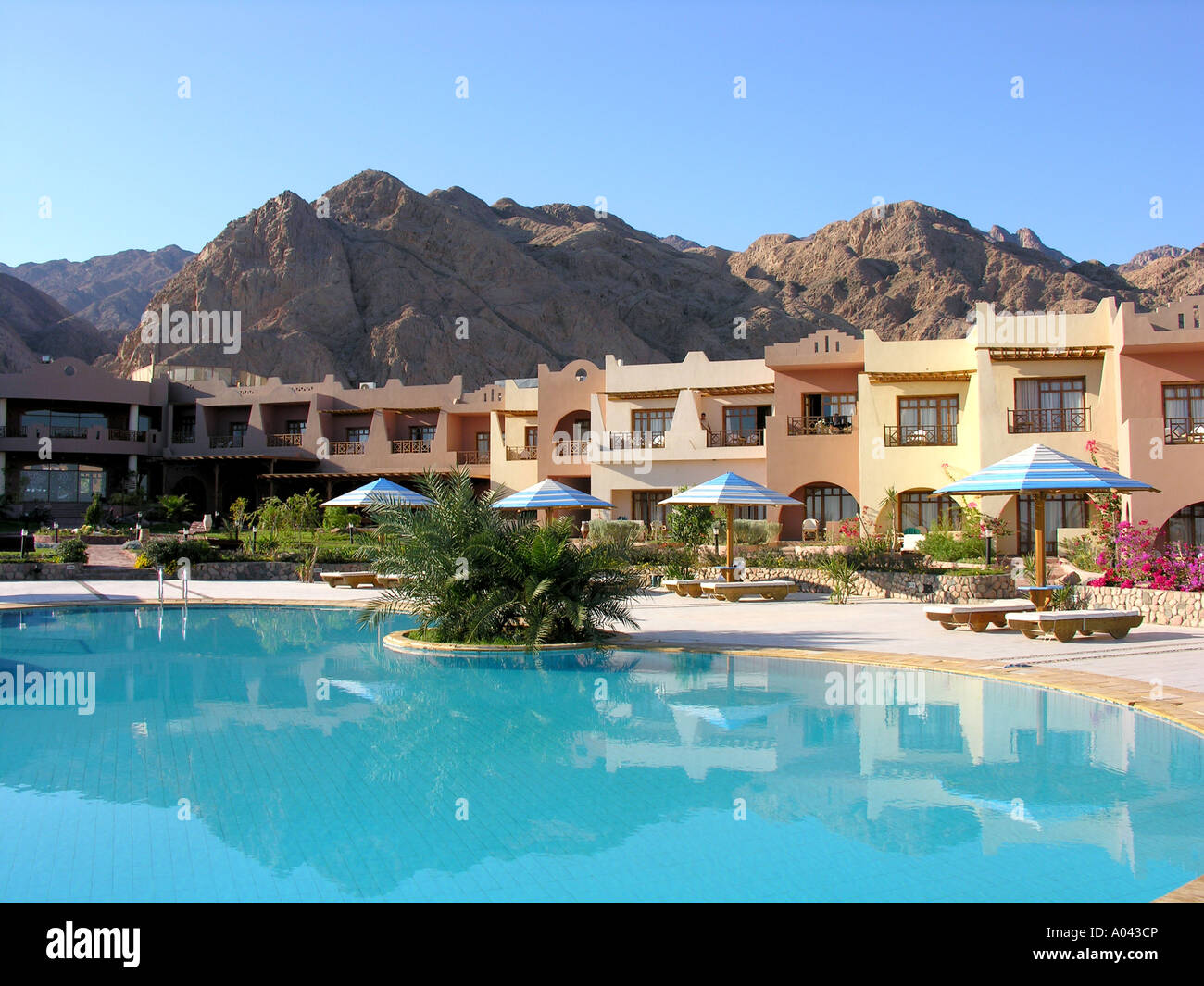 Dahab Egypt Sahara desert in the backgroudn of hotel pool Stock Photo ...