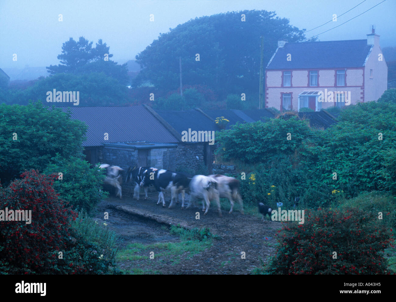 Ie02066 hi-res stock photography and images - Alamy