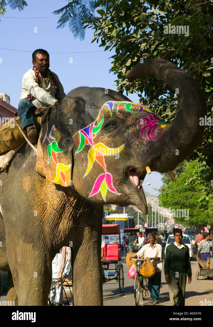 Mahout (elephant handler) with painted Elephant, Jaipur, Rajasthan ...