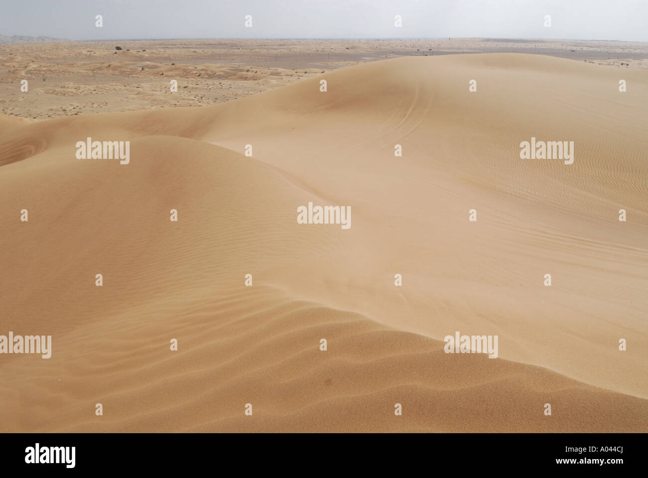 Dubai UAE Not far from Dubai the wind molds the sand into beautiful ...