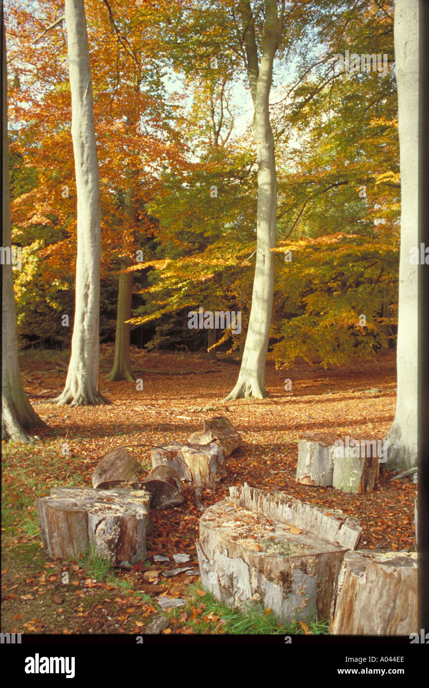 Milton wood hi-res stock photography and images - Alamy