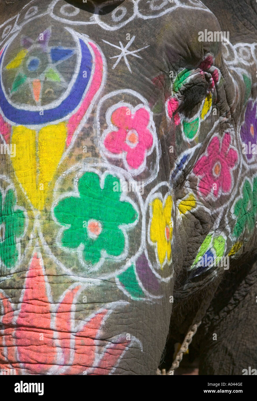 Painted Elephants, Amber Fort, Jaipur, Rajasthan, India Stock Photo - Alamy