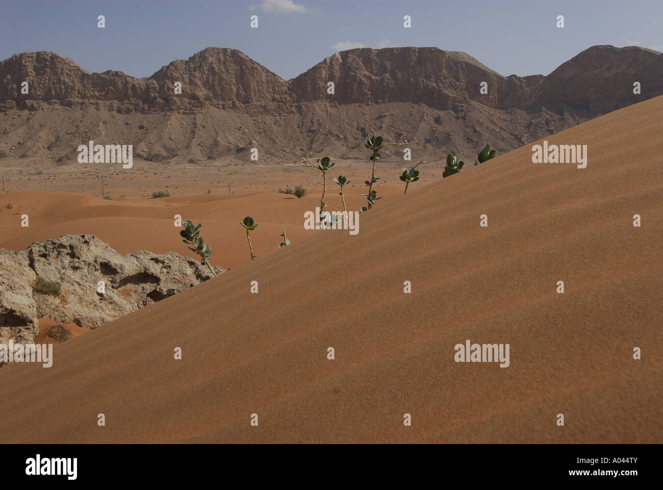 Fossil rock dubai hi-res stock photography and images - Alamy