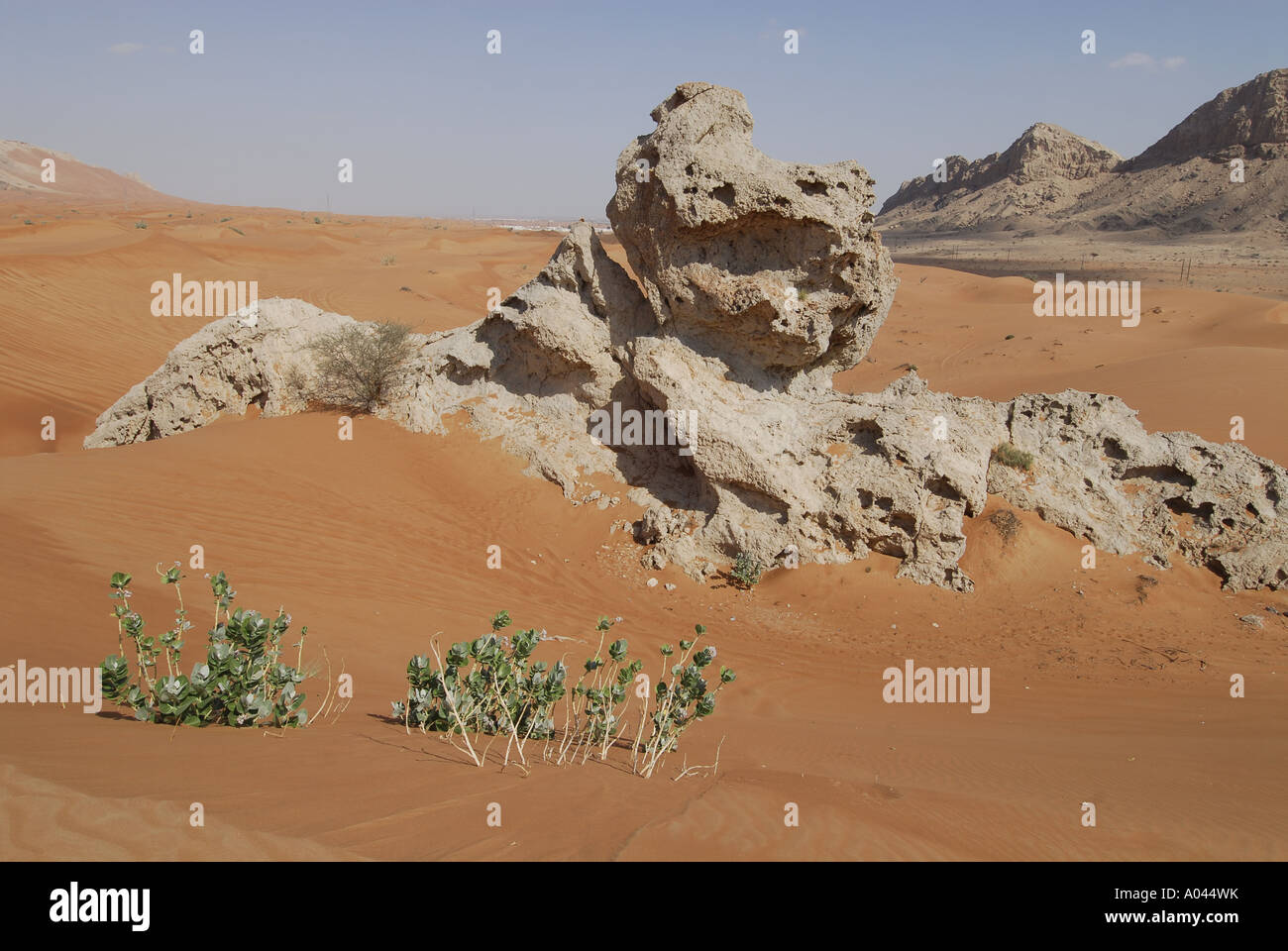 Fossil rock dubai hi-res stock photography and images - Alamy