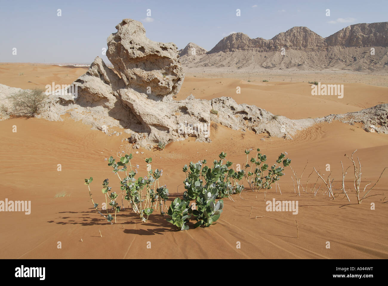 Fossil rock dubai hi-res stock photography and images - Alamy