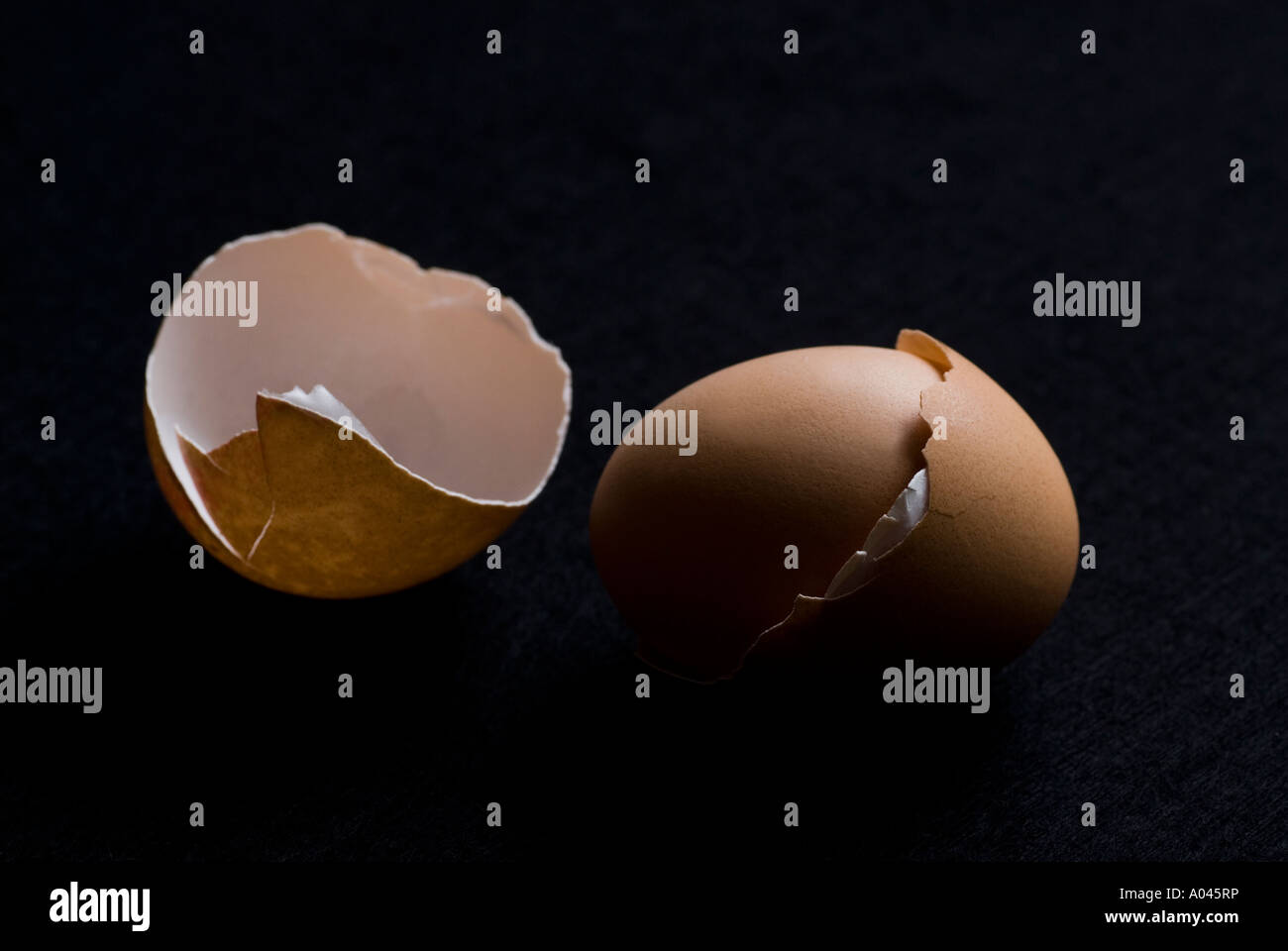 Eggs fine art hi-res stock photography and images - Alamy