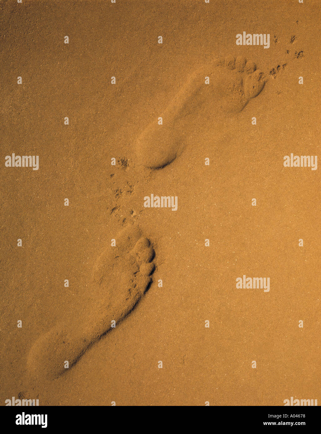 Footprints in sand Stock Photo - Alamy