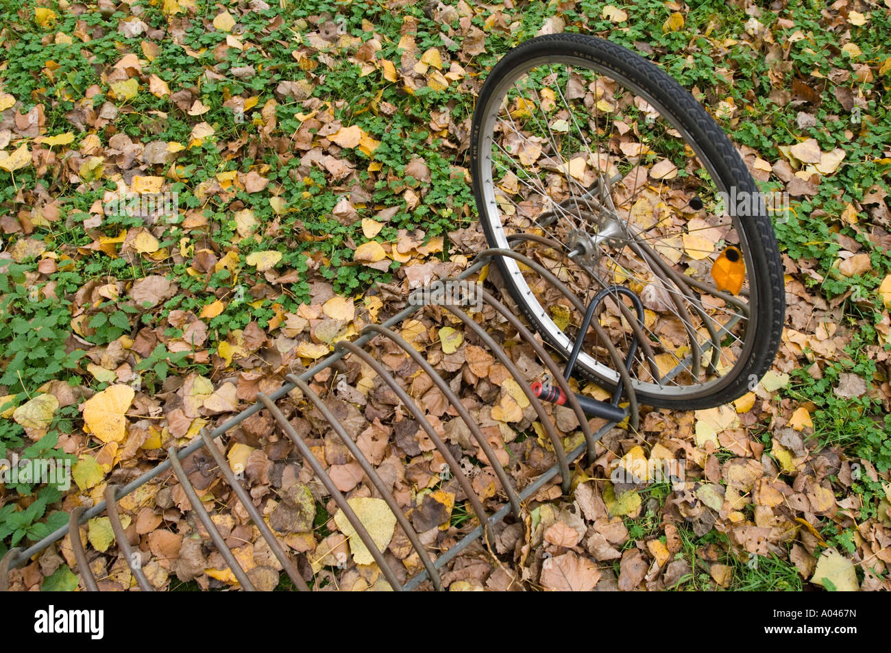 A single wheel Stock Photo - Alamy