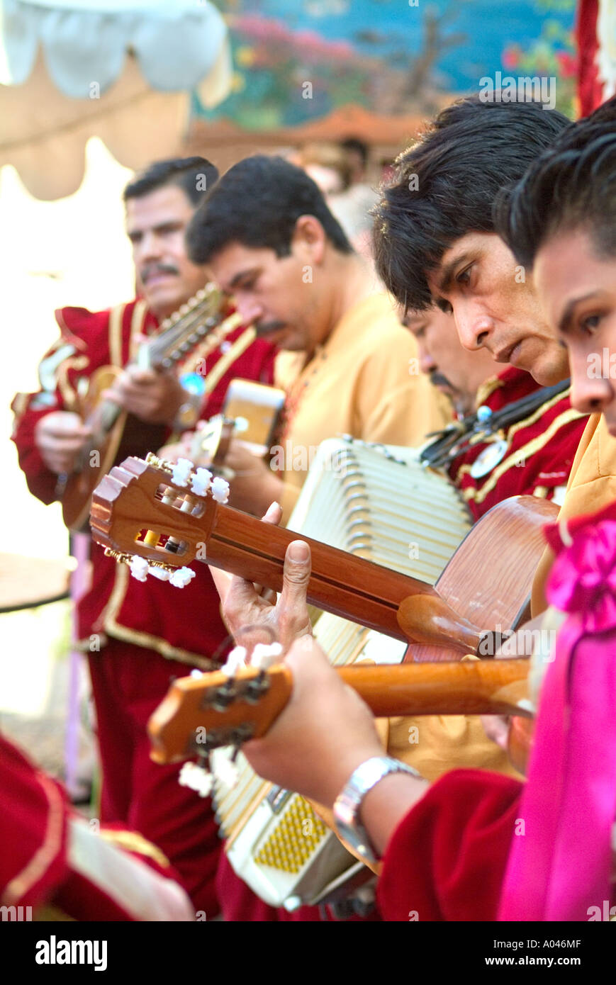 Musicians playing in mariachi band hi-res stock photography and images ...