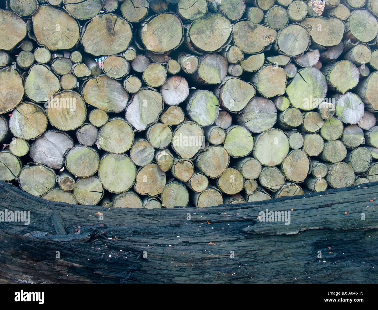 Timberwood hi-res stock photography and images - Alamy