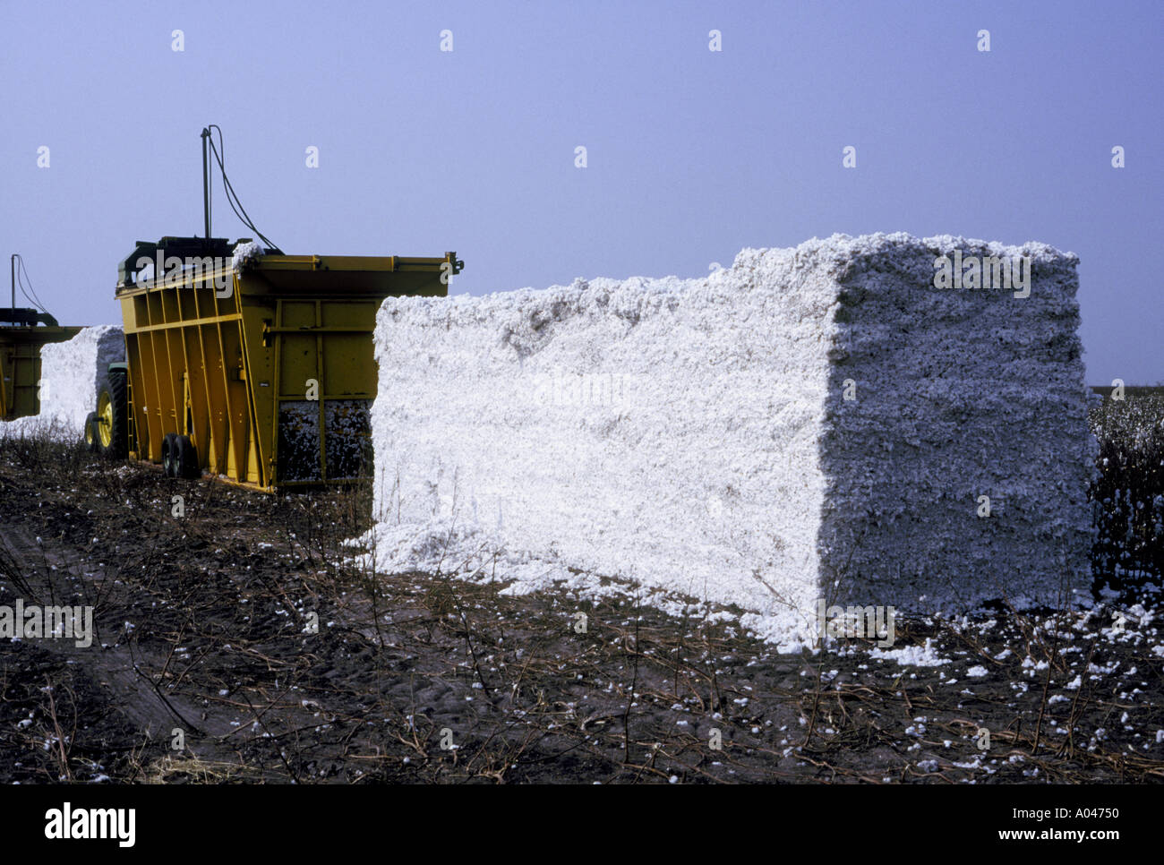 Cotton gin hi-res stock photography and images - Alamy