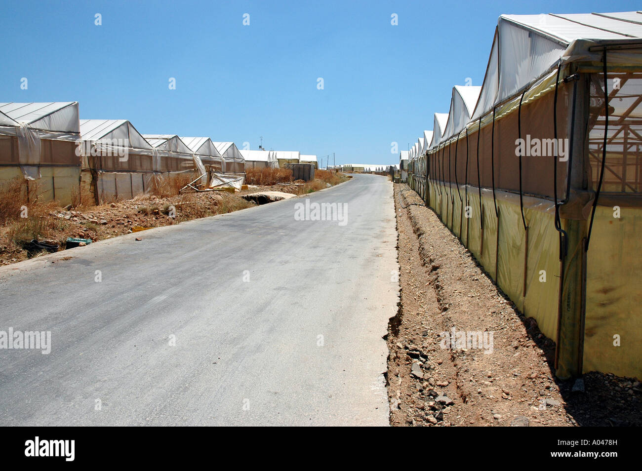 Greenhouses in the south of Crete, Greece Stock Photo - Alamy