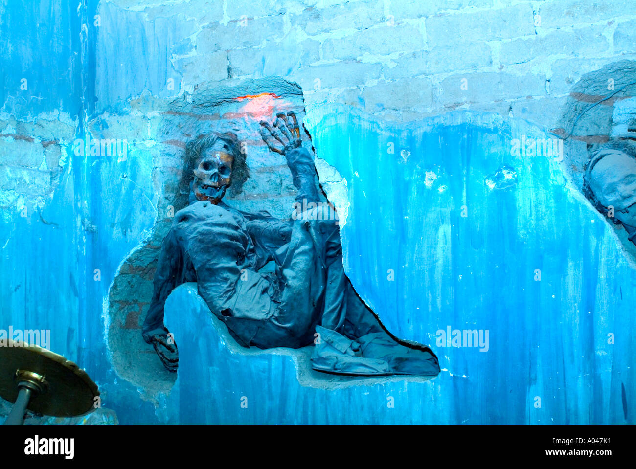 Fetal skeleton hi-res stock photography and images - Alamy